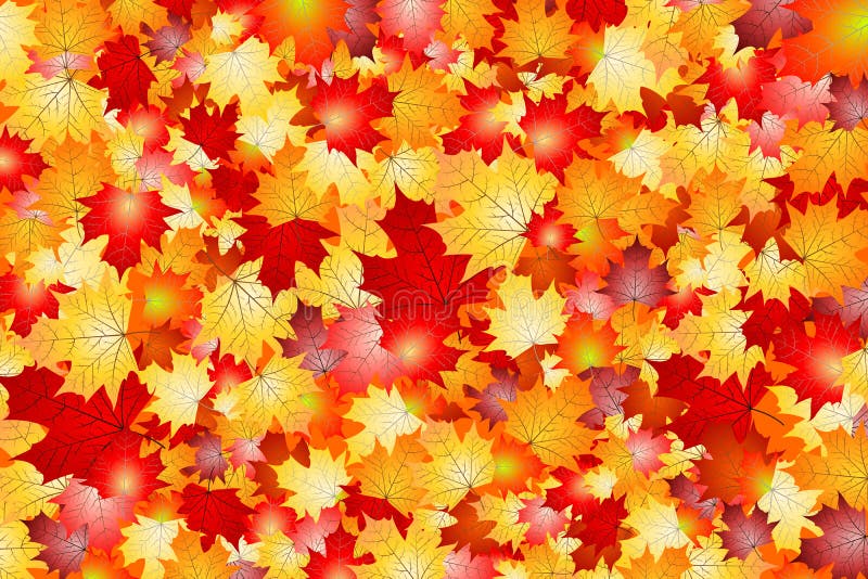 Fall, Autumn Red, Orange and Yellow Leaves - Background Stock ...