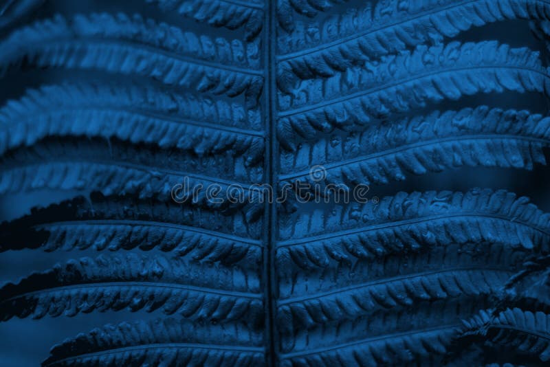 Leaves Texture Natural Background. Blue Color. Botanical Leaf. Trend of ...