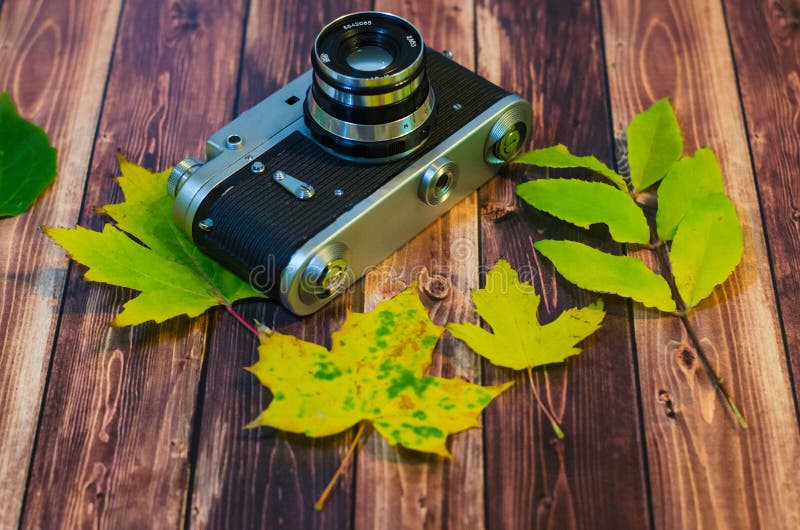 Leaves theme stock photo. Image of herbal, beauty, nature - 63045162