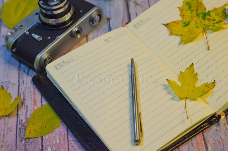 Leaves theme stock photo. Image of green, beauty, autumn - 63045206