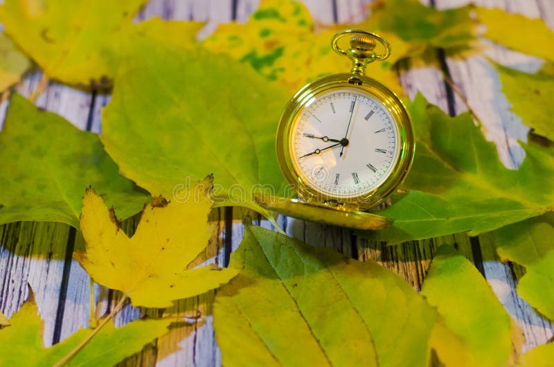 Leaves theme stock image. Image of natural, colorful - 62724609