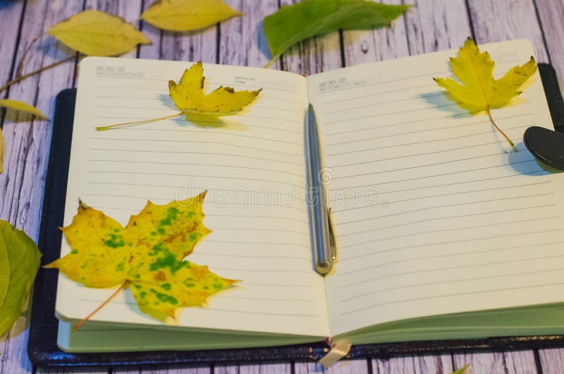 Leaves theme stock photo. Image of flowers, beauty, garden - 62724924