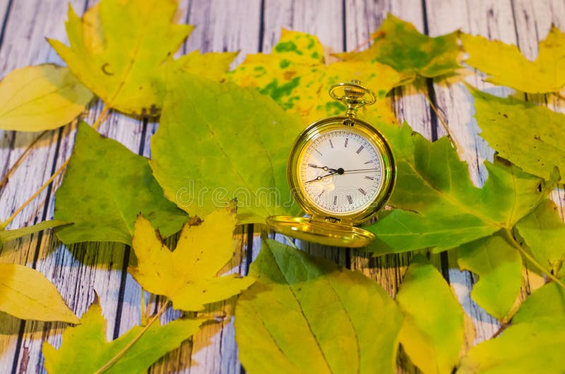 Leaves theme stock photo. Image of health, beautiful - 62725336