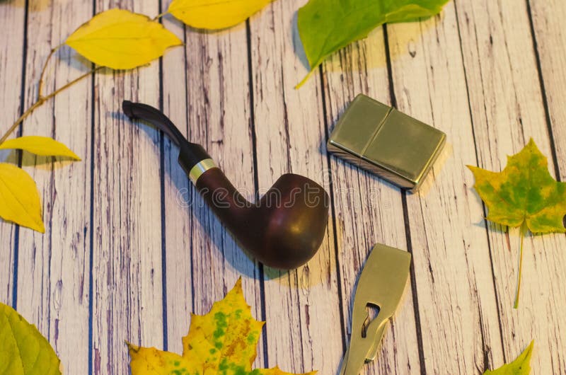 Leaves theme stock image. Image of closeup, season, green - 62725627