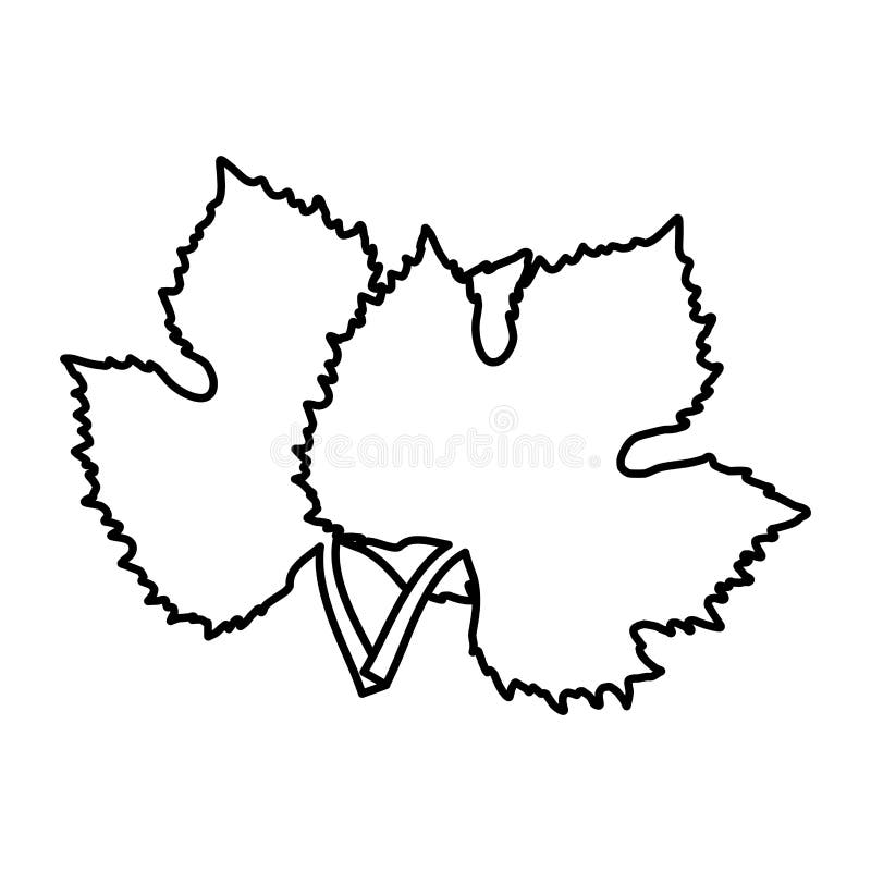Leaves Tree Grape Wine Design Stock Illustration - Illustration of ...