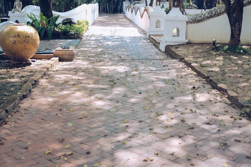 Leaves & Tree Shadow on Walkway Pathway in Park Stock Photo - Image of ...