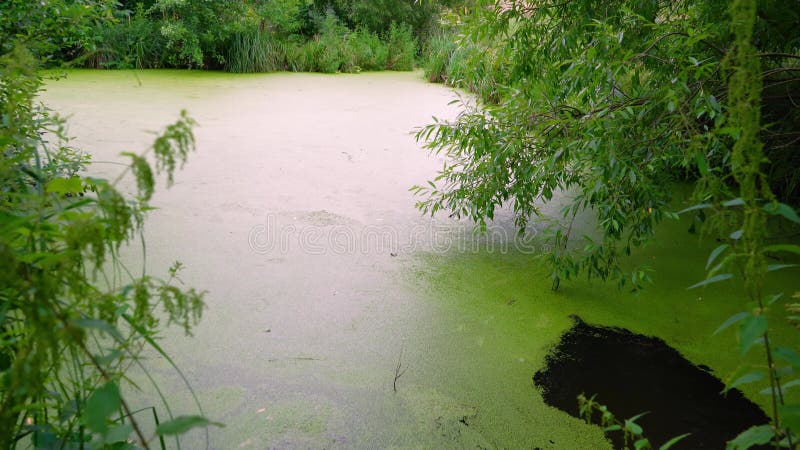 Touching Mirror Surface Stock Footage & Videos - 24 Stock Videos