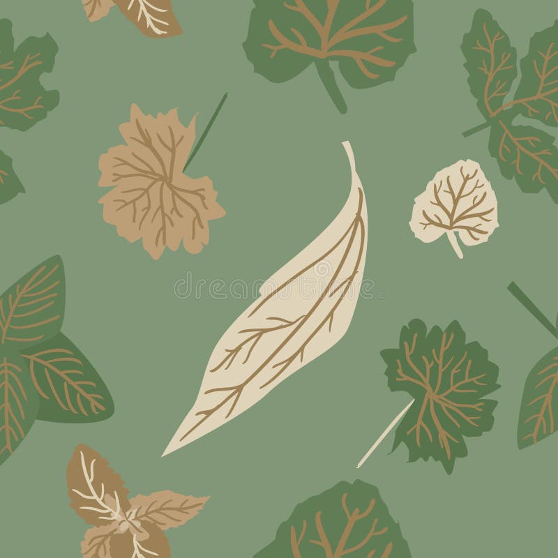 Leaves Vector Illustration Set for Your Design. Stock Vector ...