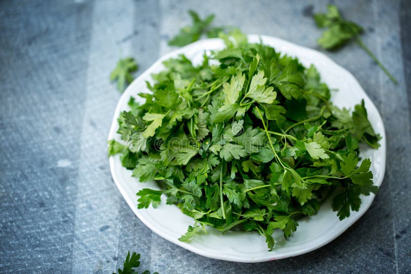 Parsley on a plate stock image. Image of delicious, background - 115736315