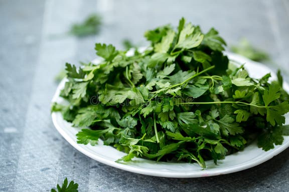 Parsley on a plate stock photo. Image of healthy, freshness - 115753702