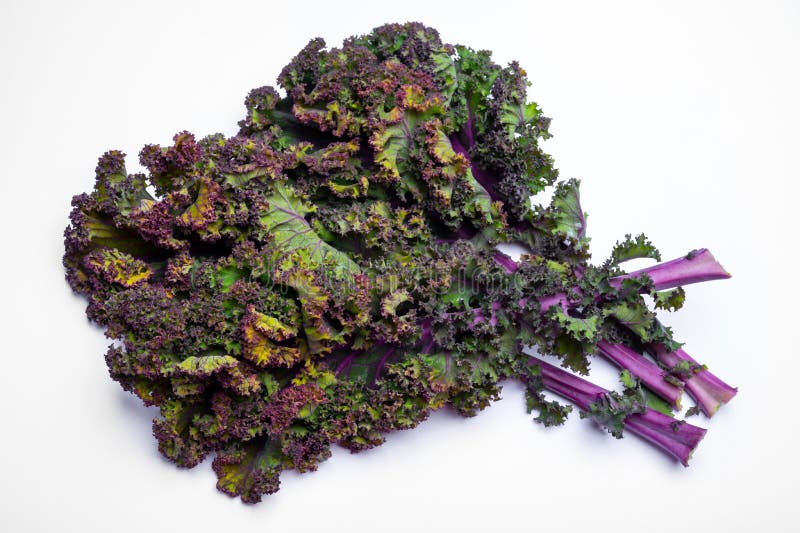 Leaves of Winter Vegetable Purple Kale Cabbage on White Background ...