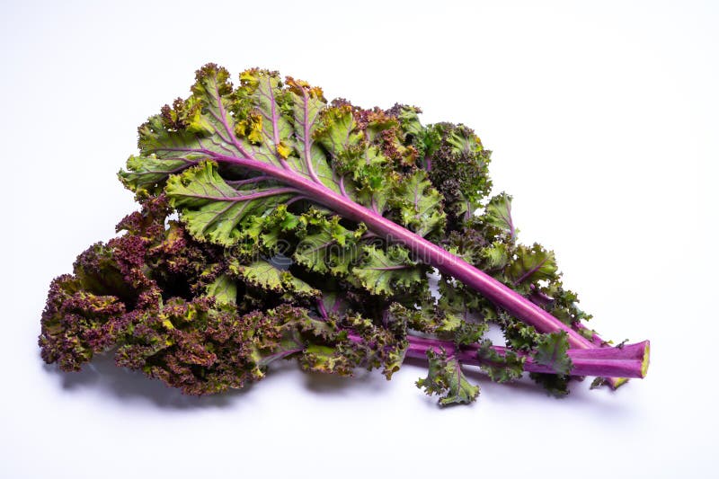 Leaves of Winter Vegetable Purple Kale Cabbage on White Background ...