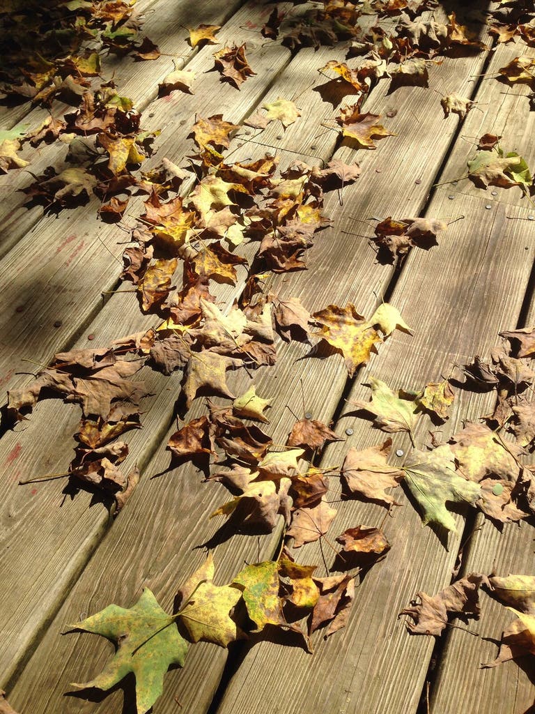 897 Fall Deck Wood Leaves Stock Photos - Free & Royalty-Free Stock Photos from Dreamstime