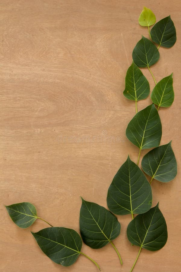 Leaves, Wood, Texture, Leaf Green, Brown Ground. Stock Image - Image of ...