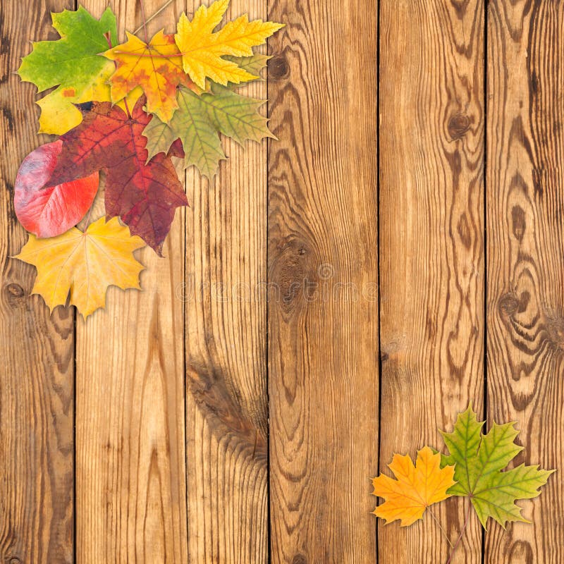 Leaves on a wooden boards stock image. Image of background - 33344919