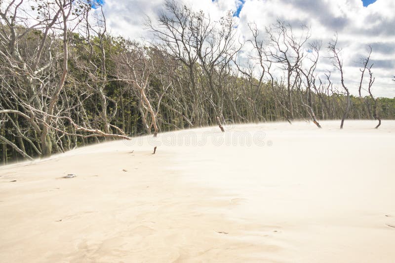 Leba dunes - Unesco place. stock image. Image of dune - 27486415