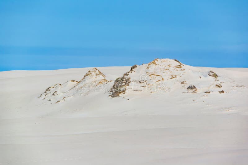 Leba Sand Desert and Dunes in Poland Stock Photo - Image of leba, sandy ...