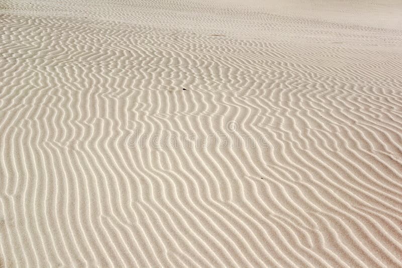 Leba Sand Desert and Dunes in Poland Stock Photo - Image of leba, sandy ...