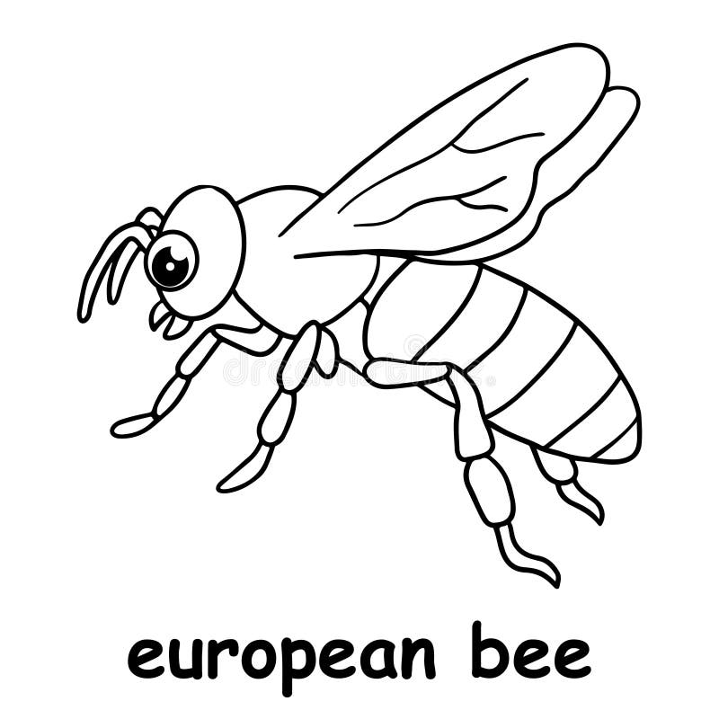 Kids Line Illustration Coloring Animal. Outline Vector for Children ...