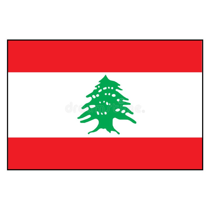 31 Middle East and North Africa Flag MENA Rectangle Icon Set of Major ...