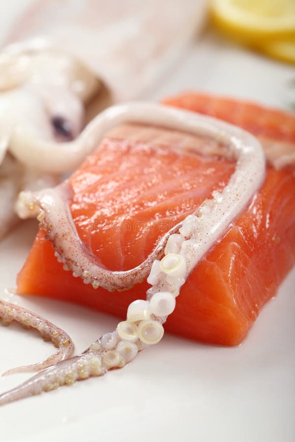 Lechón del calamar imagen de archivo. Imagen de anillo - 8194581