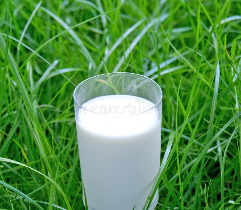 Leche fresca foto de archivo. Imagen de lechoso, producto - 15064734