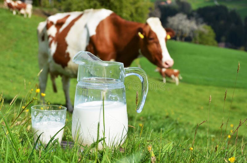 Leche de vaca imagen de archivo. Imagen de bebida, cubo - 24057051
