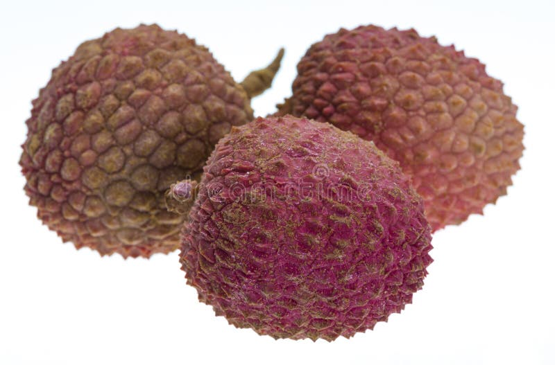 Lechee stock photo. Image of fruity, health, brown, chinese - 30767376