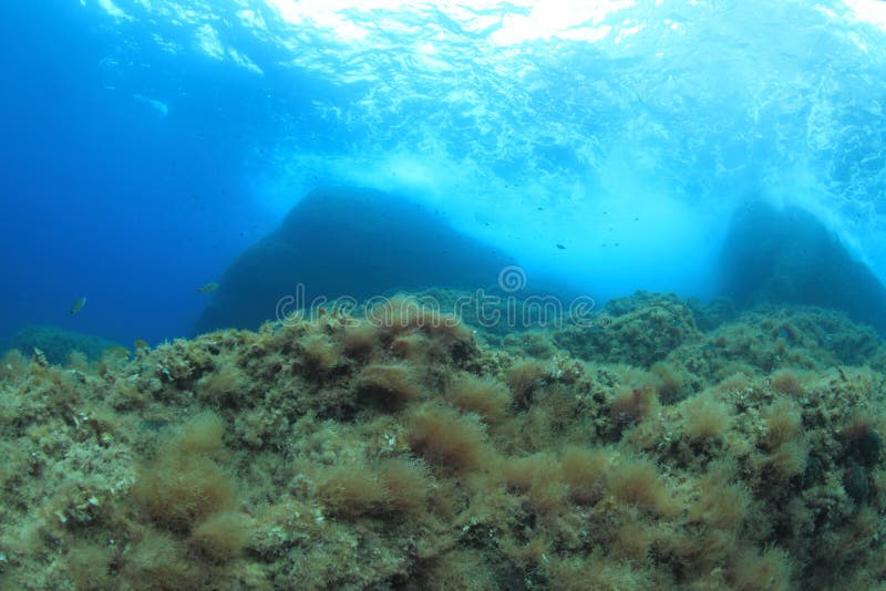 Lecho marino de Majorca foto de archivo. Imagen de paisaje - 39110350