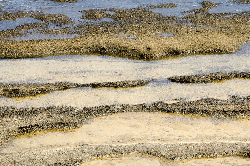 1,062 Lecho Marino Fotos - Libres de Derechos y Gratuitas de Dreamstime