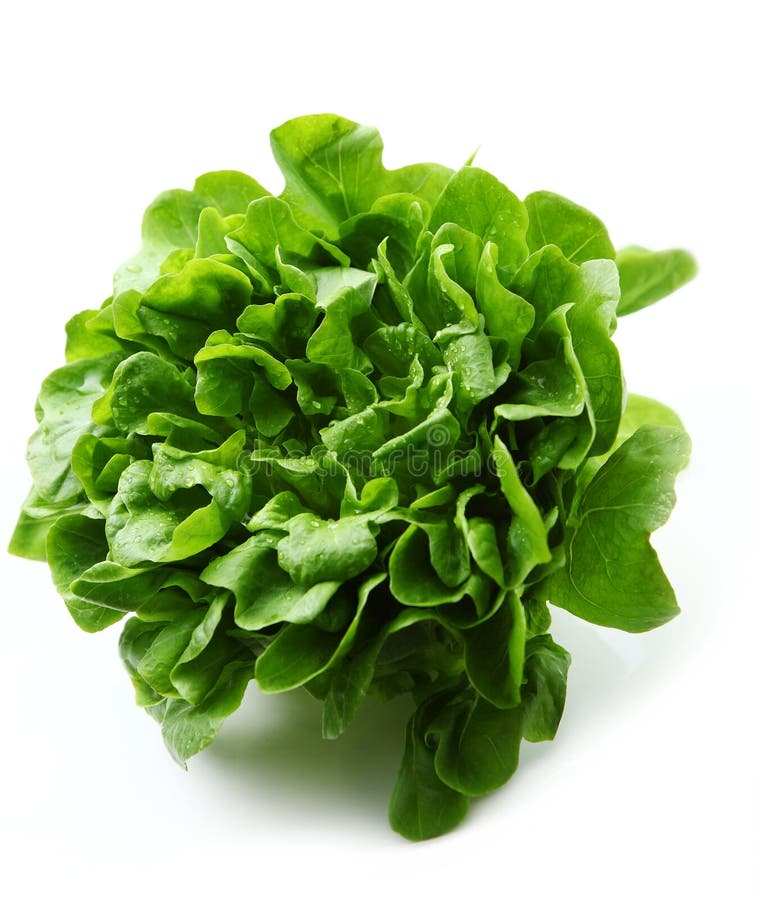 Lechuga foto de archivo. Imagen de vegetariano, verde - 10312188