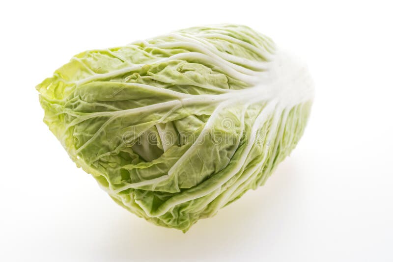 Lechuga Blanca O Col Blanca Foto de archivo - Imagen de ingrediente ...