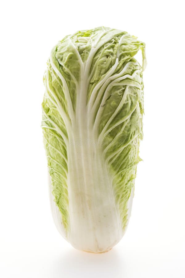 Lechuga Blanca O Col Blanca Imagen de archivo - Imagen de verde ...