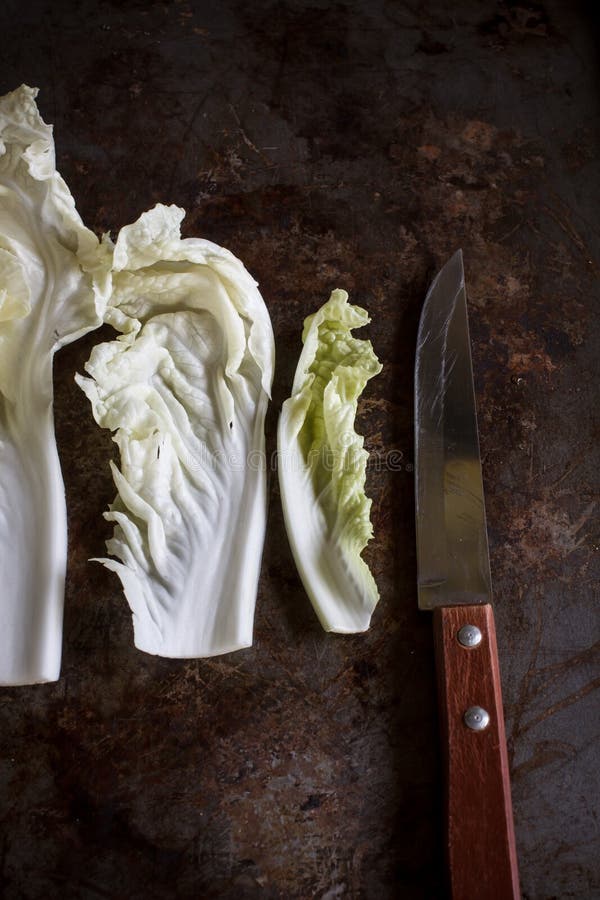 Lechuga china imagen de archivo. Imagen de china, lechuga - 1016313