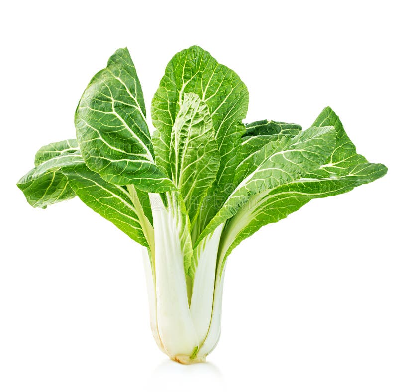 Lechuga china foto de archivo. Imagen de completo, entero - 29213888