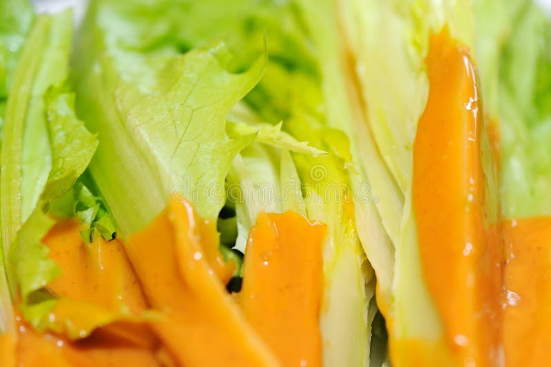 Lechuga china imagen de archivo. Imagen de china, lechuga - 1016313