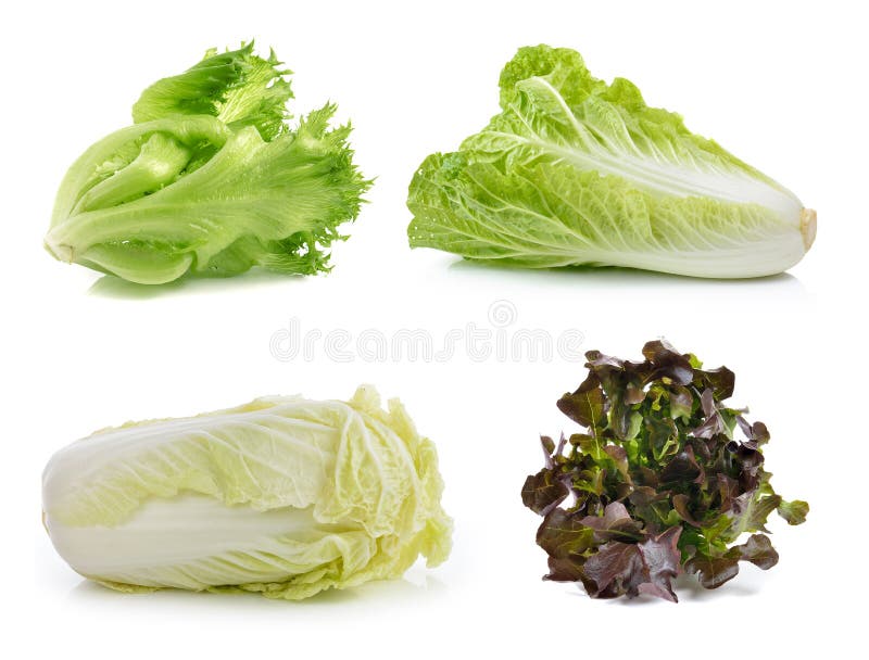 Lechuga, Col De China En El Fondo Blanco Imagen de archivo - Imagen de ...