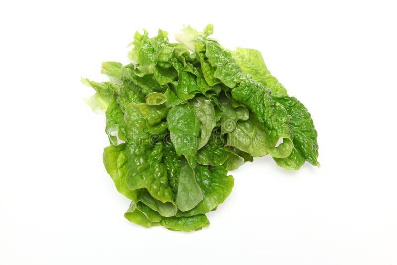 Lechuga coreana imagen de archivo. Imagen de alimento - 84931973