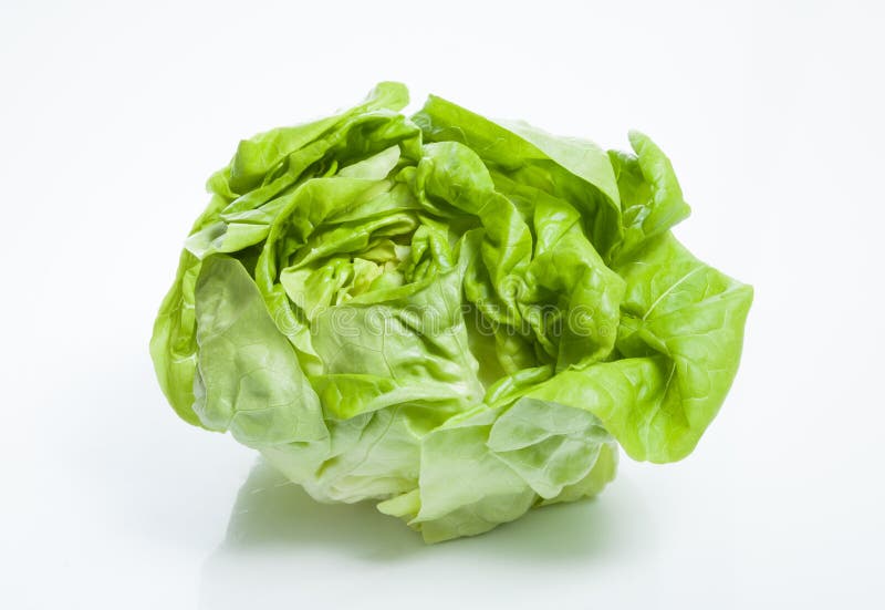 Lechuga de Butterhead imagen de archivo. Imagen de comer - 51407139