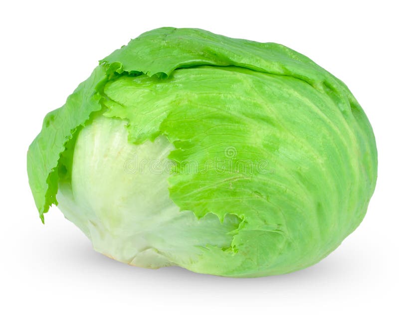 Lechuga iceberg foto de archivo. Imagen de frescura, crudo - 43204396