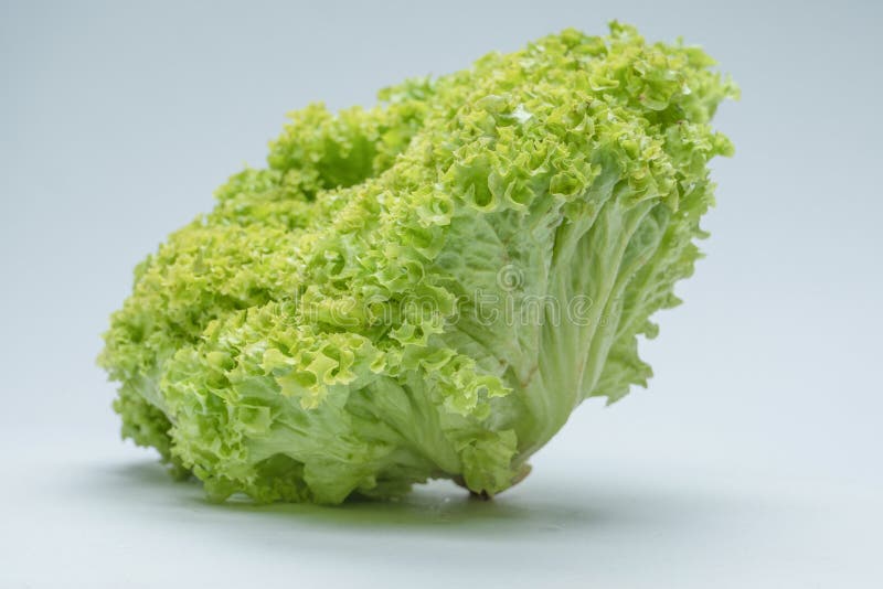 Lechuga De Iceberg Aislada Sobre Fondo Blanco Foto de archivo - Imagen ...