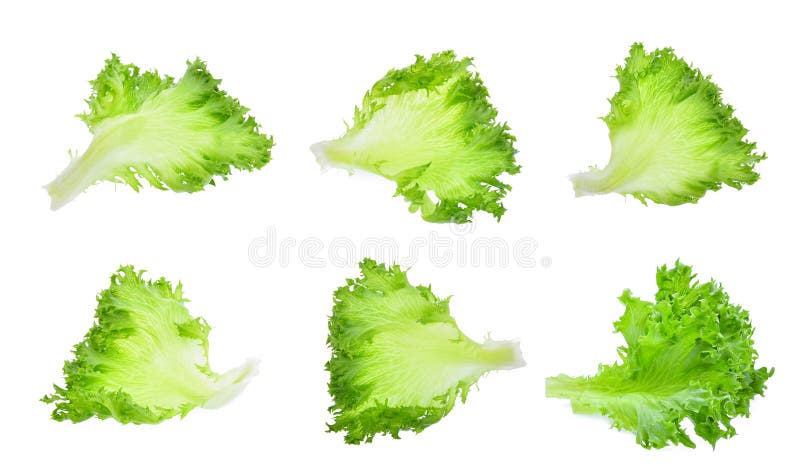 Lechuga De Iceberg Verde Del Frillice Aislada En Blanco Imagen de ...