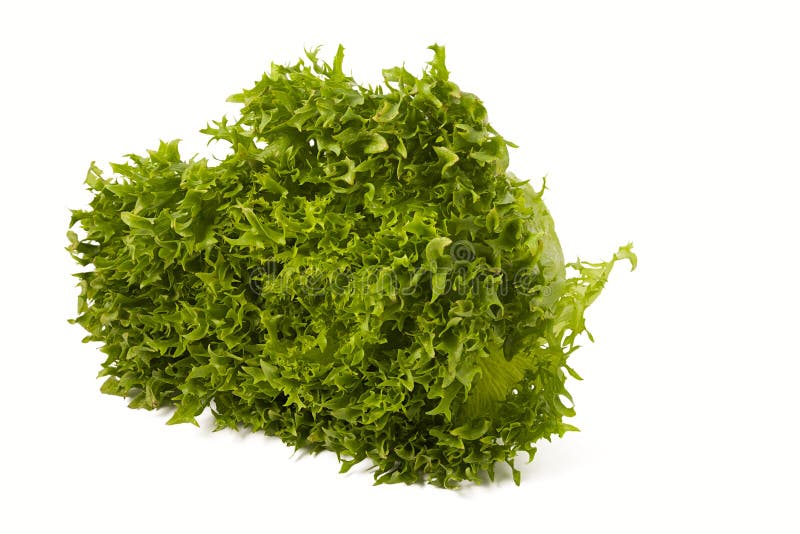 Lechuga Del Frisee De La Endibia De La Escarola Aislada Imagen de ...