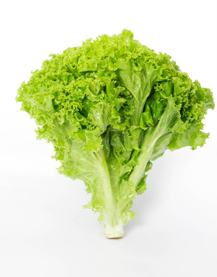 Lechuga en un fondo blanco foto de archivo. Imagen de dieting - 24501100