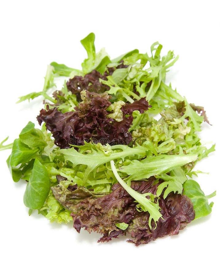 Lechuga fresca imagen de archivo. Imagen de cena, alimento - 9762095
