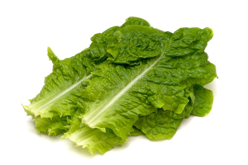 Lechuga Fresca De La Ensalada Foto de archivo - Imagen de hoja ...