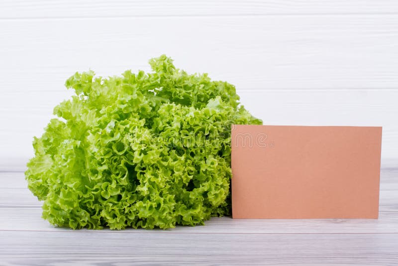 Lechuga Rizada Fresca Y Tarjeta En Blanco Foto de archivo - Imagen de ...