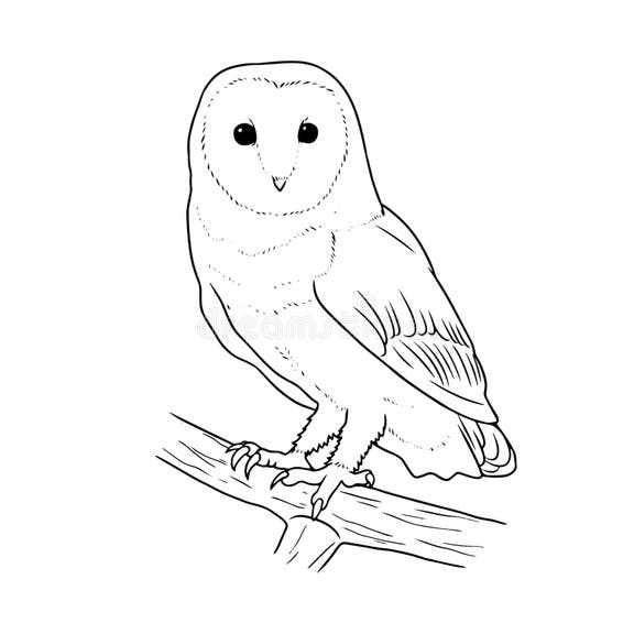 Lechuza Stock Illustrations – 20 Lechuza Stock Illustrations, Vectors ...