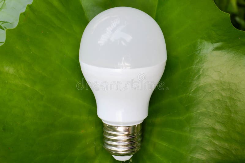 LED Bulb on the Green Leaf for Concept of Eco Friendly Technology Stock ...