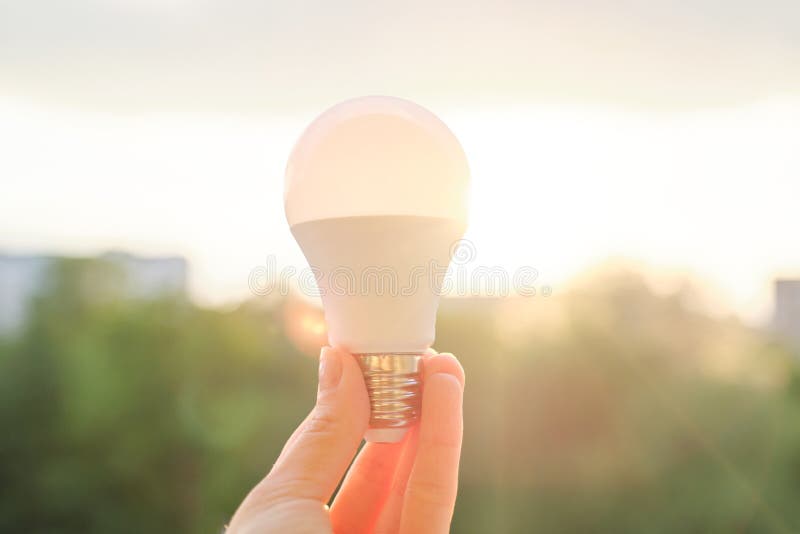 Led Bulb, Hand Holding Lamp, Evening Sunset Sky Background Stock Image ...